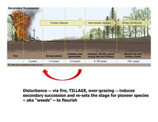 Applied Weed Ecology - Why Weeds Grow and Ways to Observe Them | PPTX