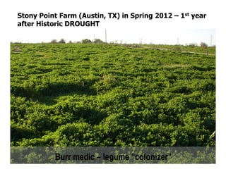 Applied Weed Ecology - Why Weeds Grow and Ways to Observe Them | PPTX