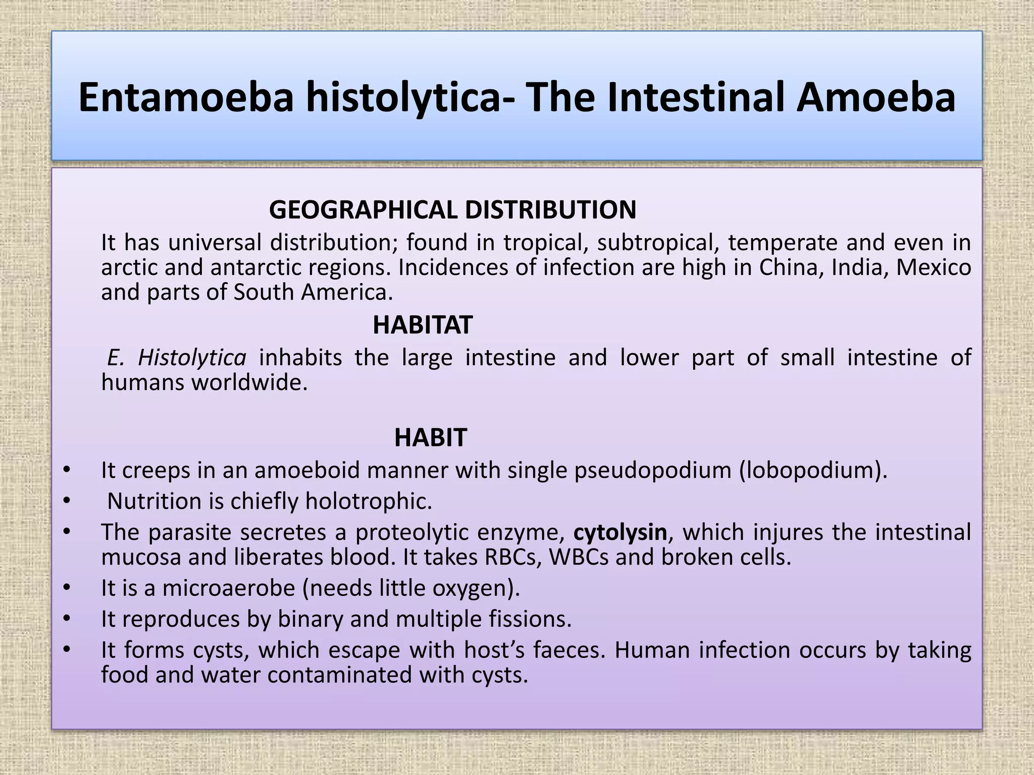 Applied zoology- Entamoeba | PPTX