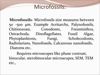 Applications of micro-fossil in bio statigraphy | PPT | Geography | Science