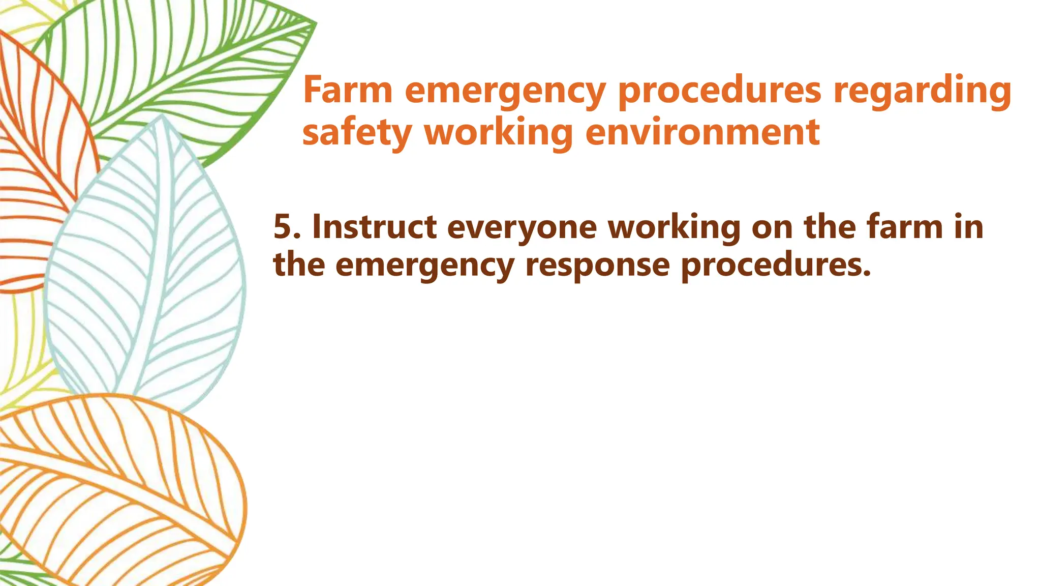 APPLY APPROPRIATE SAFETY MEASURES WHILE WORKING IN FARM.pptx