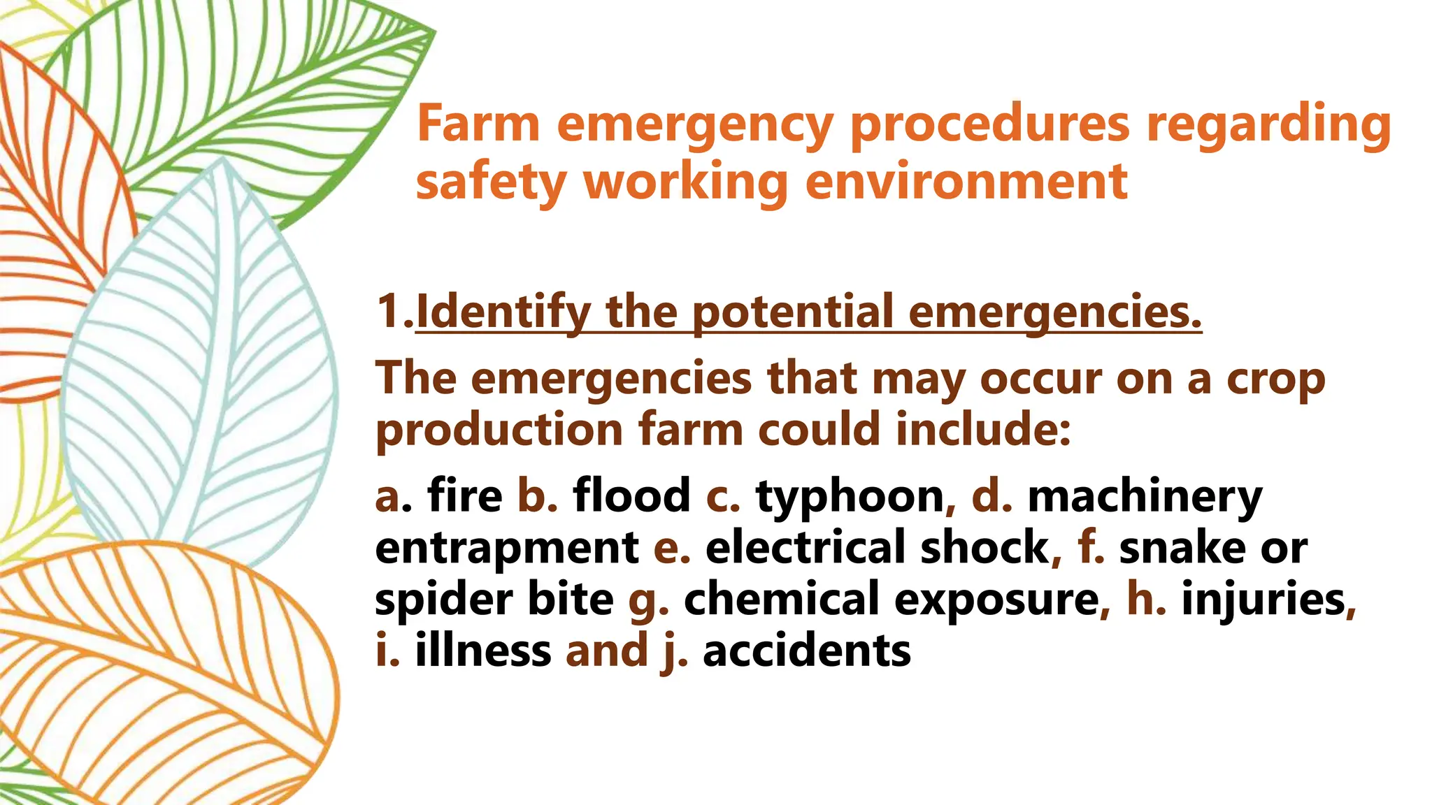APPLY APPROPRIATE SAFETY MEASURES WHILE WORKING IN FARM.pptx