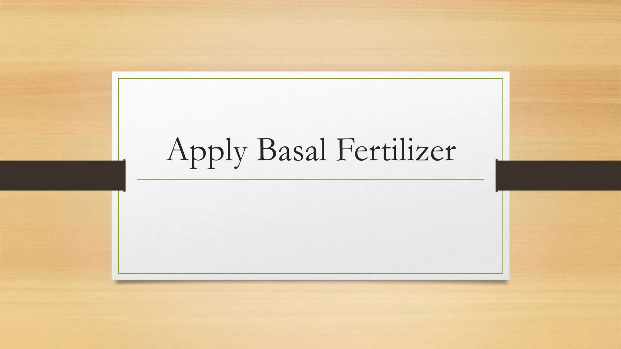 Apply Basal Fertilizer .pptx