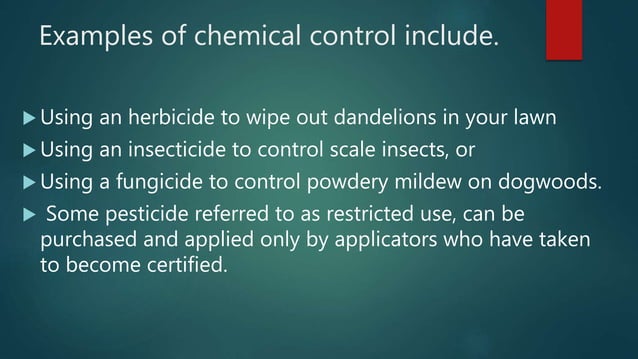 Apply chemical control measures | PPT
