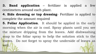 APPLYING BASAL FERTILIZER.pptx