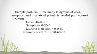 APPLYING BASAL FERTILIZER.pptx