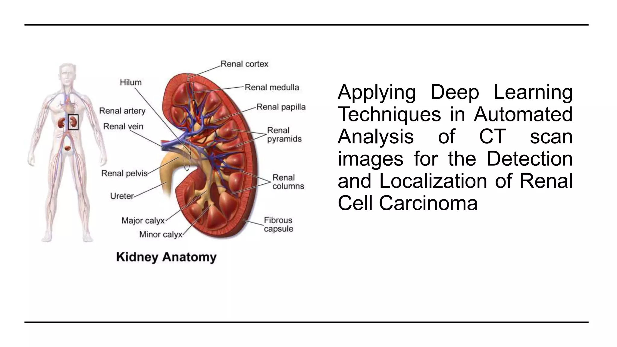 Applying Deep Learning Techniques in Automated Analysis of CT scan ...