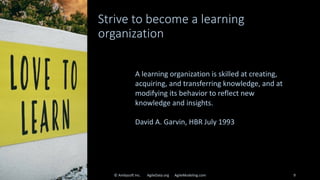 Applying Disciplined Agile: Become a Learning Organization | PDF