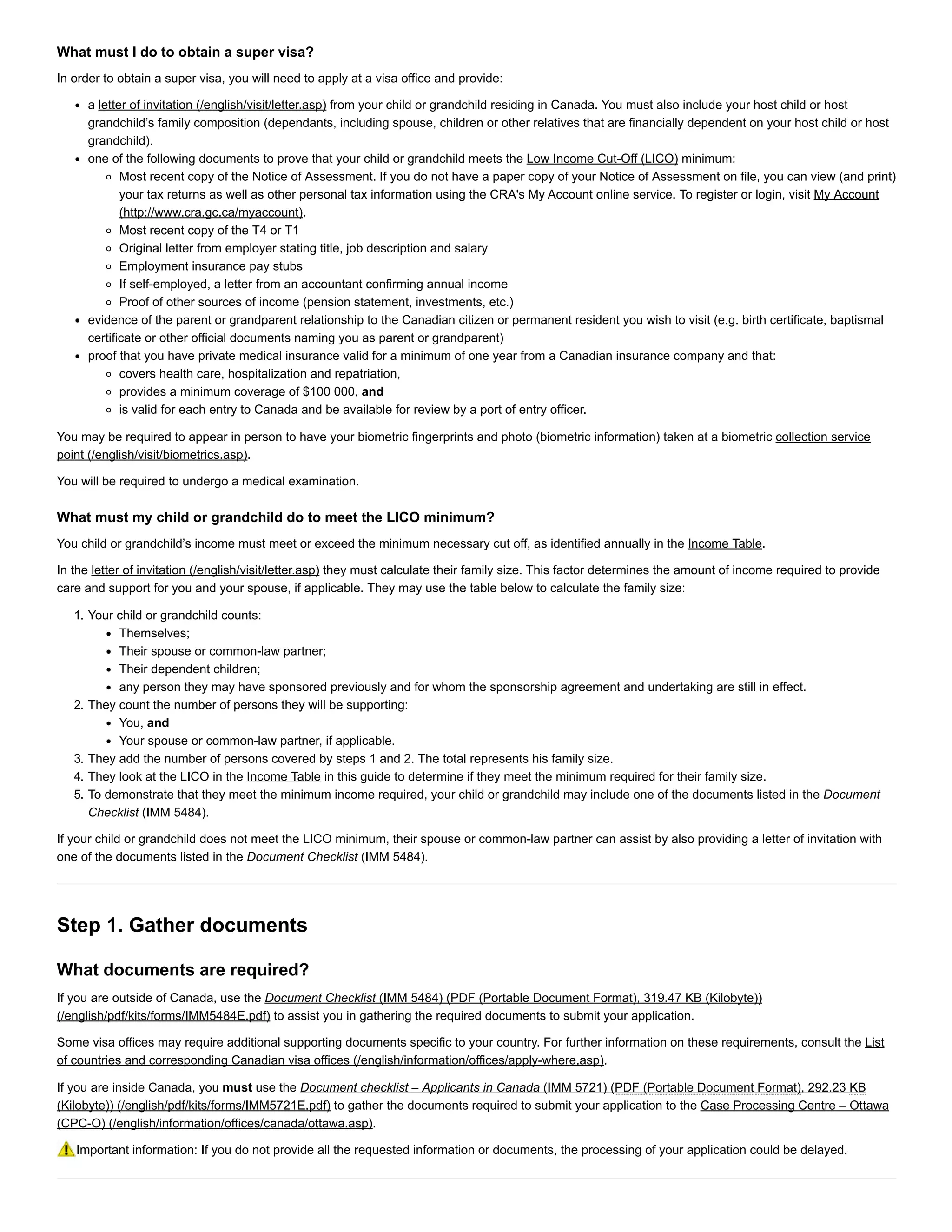 Applying for visitor visa (temporary resident visa – imm 5256) | PDF