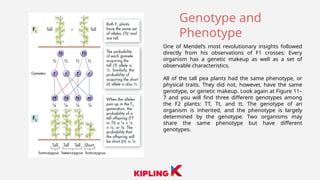 PPT PRESENTATION ABOUT APPLYING MENDEL'S PRINCIPLES.pptx