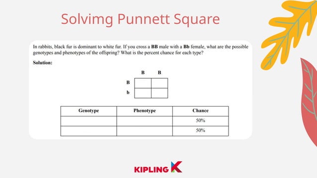 PPT PRESENTATION ABOUT APPLYING MENDEL'S PRINCIPLES.pptx