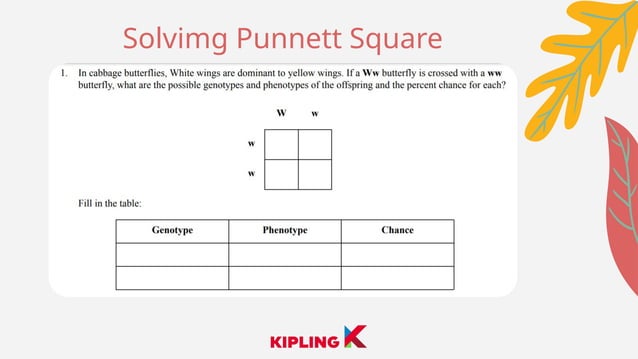 PPT PRESENTATION ABOUT APPLYING MENDEL'S PRINCIPLES.pptx