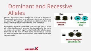 PPT PRESENTATION ABOUT APPLYING MENDEL'S PRINCIPLES.pptx