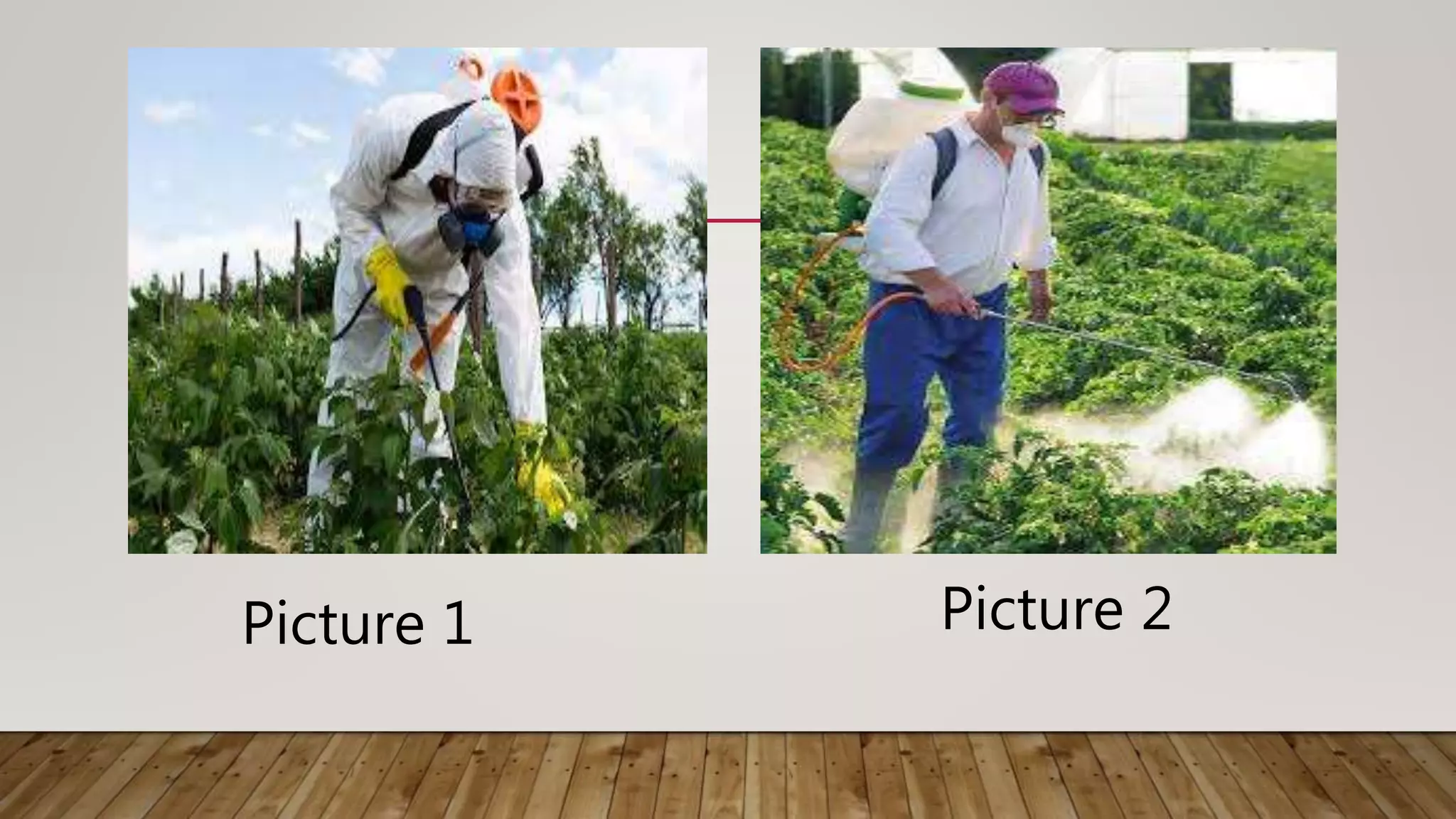 APPLYING SAFETY MEASURES IN FARM OPERATIONS.pptx