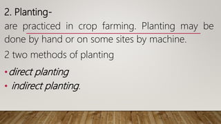 APPLYING SAFETY MEASURES IN FARM OPERATIONS.pptx