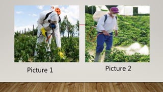 APPLYING SAFETY MEASURES IN FARM OPERATIONS.pptx