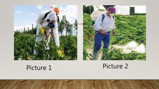 APPLYING SAFETY MEASURES IN FARM OPERATIONS.pptx