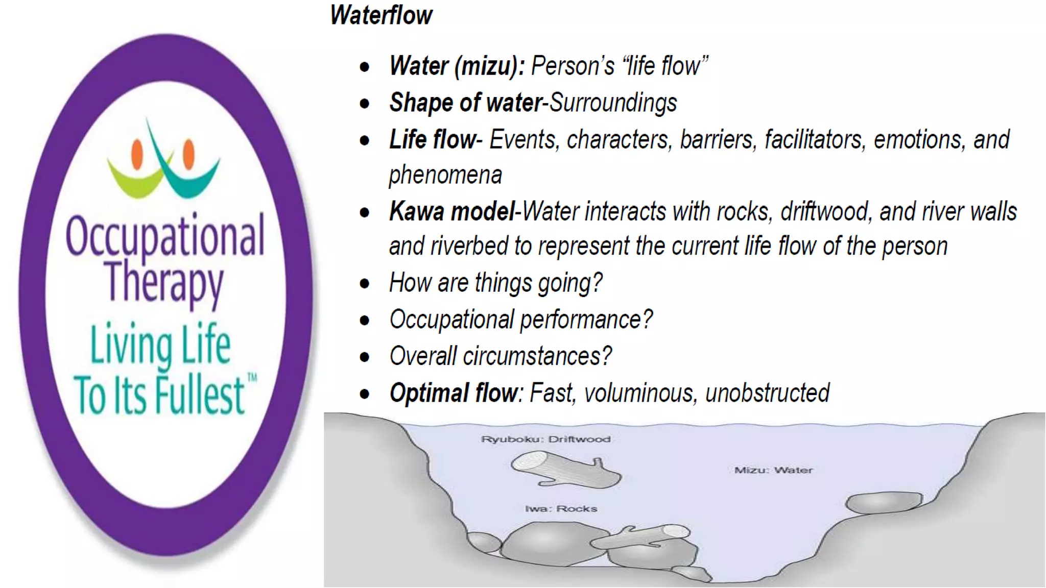 Applying the Kawa Model in Occupational Therapy | PPTX