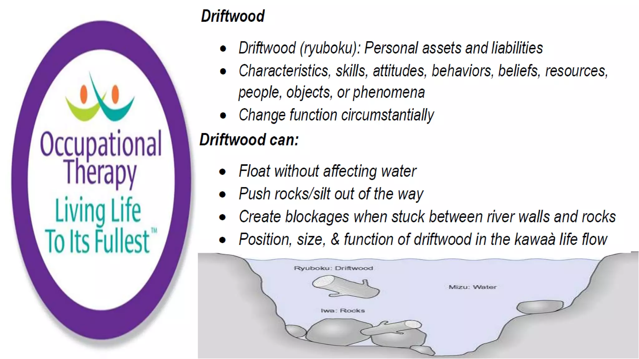 Applying the Kawa Model in Occupational Therapy | PPTX
