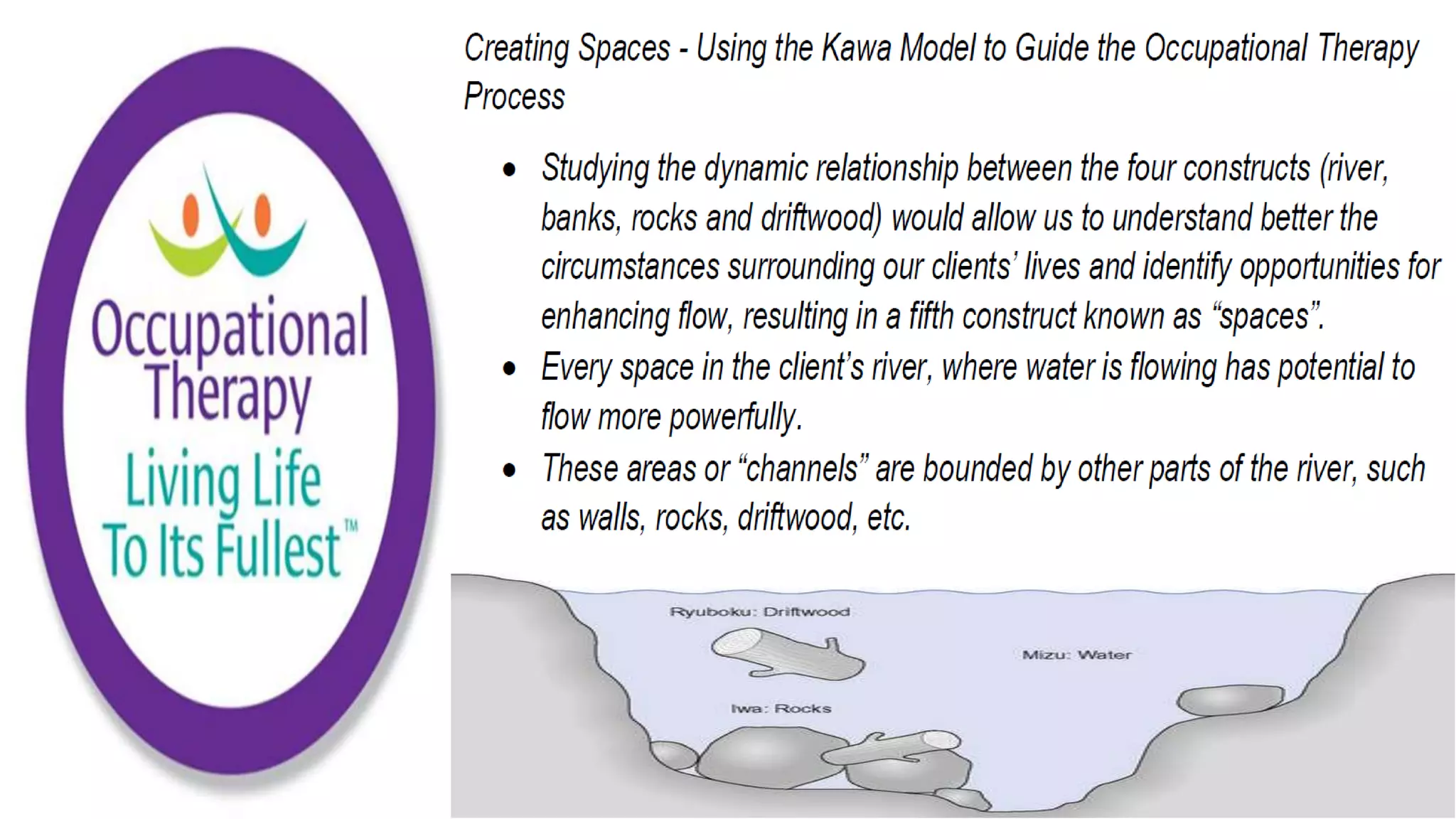Applying the Kawa Model in Occupational Therapy | PPTX