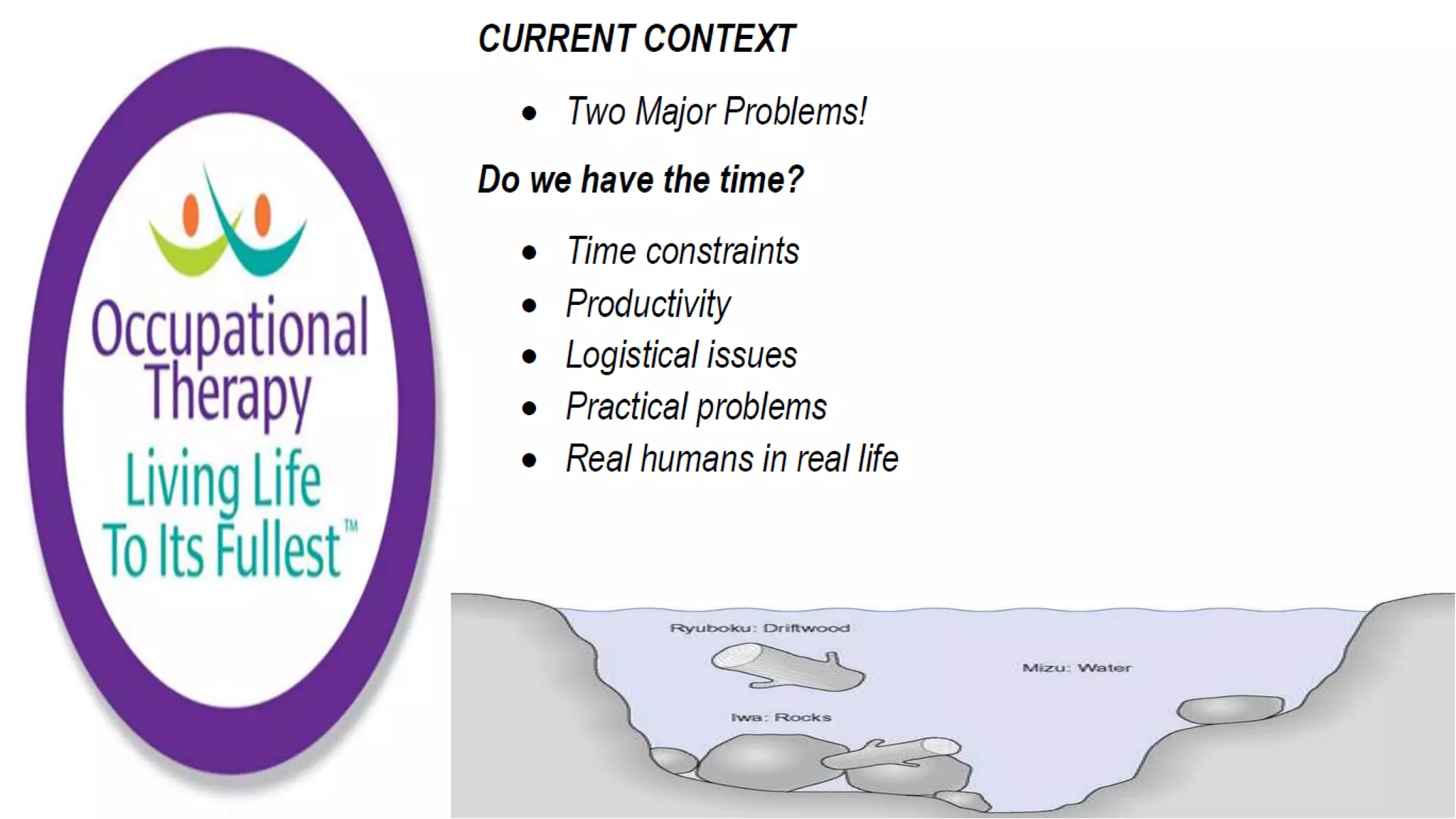 Applying the Kawa Model in Occupational Therapy | PPTX