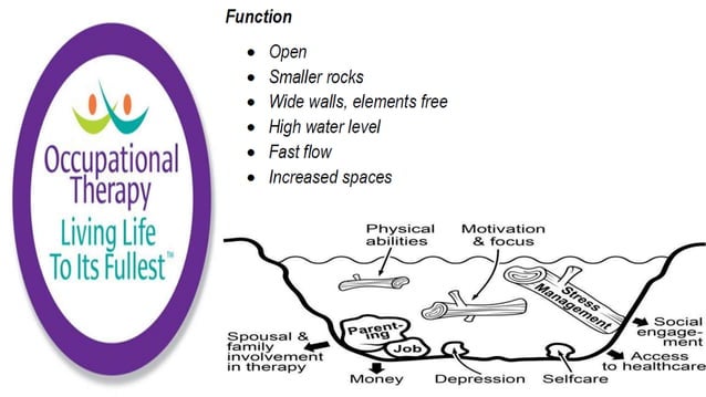 Applying the Kawa Model in Occupational Therapy | PPTX | Physical ...