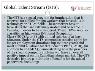 Applying through specialized LMIA applications.pptx