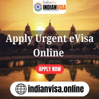 Apply Urgent eVisa Online ( Visa Services ) | PDF