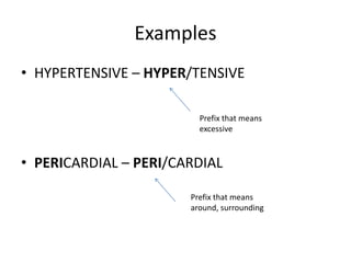 Apply your knowledge-prefix.for_project1 | PPTX