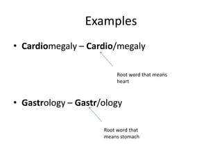 Apply your knowledge root word.for project | PPTX