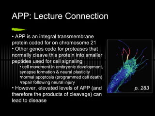 App neural function | PPT
