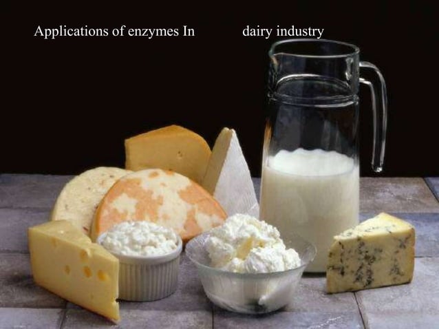 App of enzymes in dairy industry