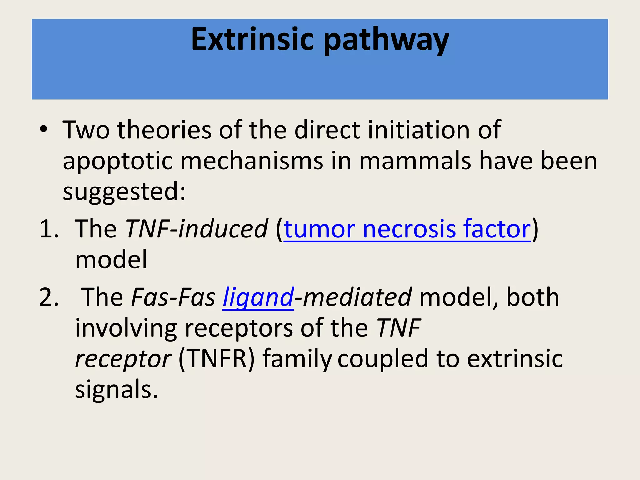Intrinsic and Extrinsic Pathway of Apoptosis | PPTX