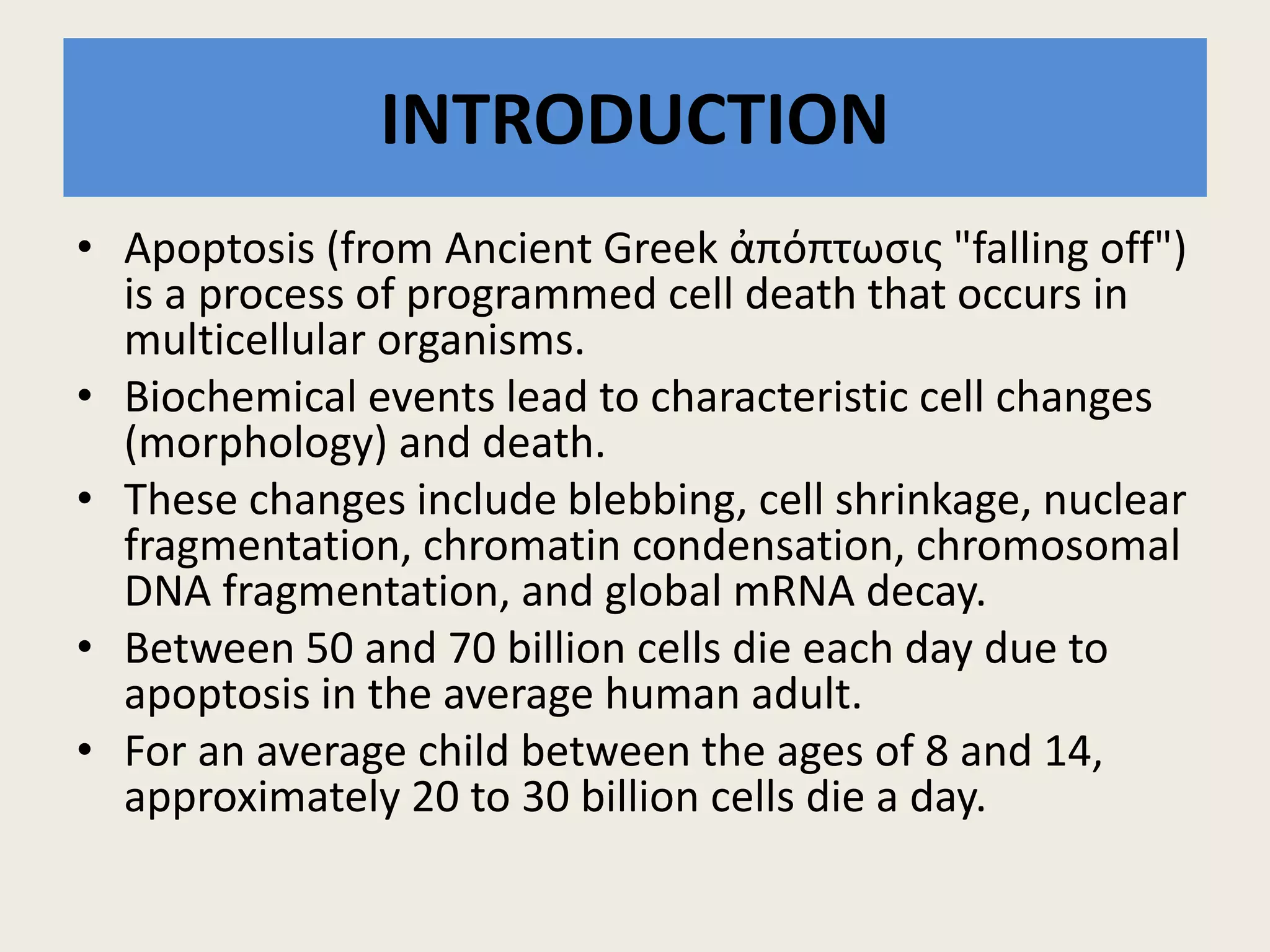 Intrinsic and Extrinsic Pathway of Apoptosis | PPTX