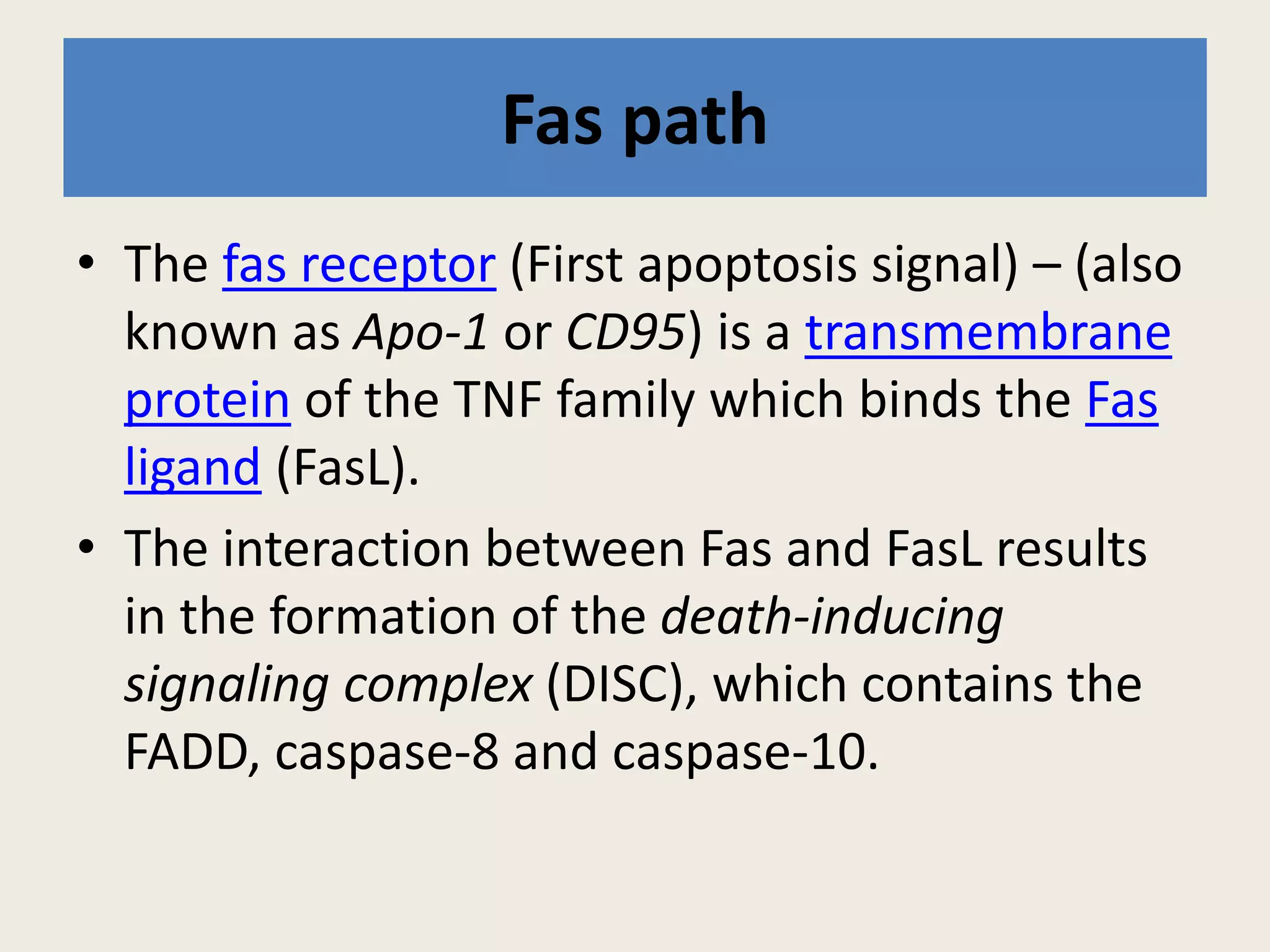 Intrinsic and Extrinsic Pathway of Apoptosis | PPTX