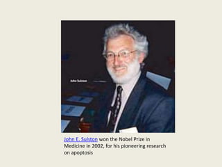 Intrinsic and Extrinsic Pathway of Apoptosis | PPTX