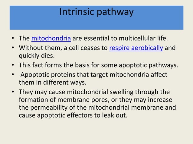 Intrinsic and Extrinsic Pathway of Apoptosis | PPTX | Biological ...