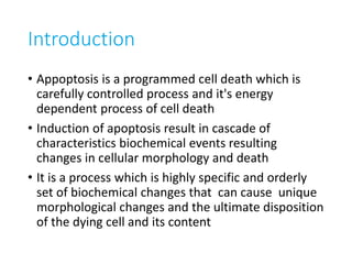 Appoptosis -pro.pptx