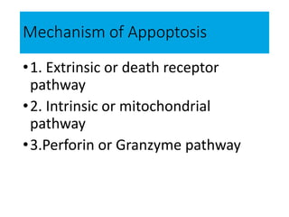 Appoptosis -pro.pptx