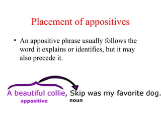 Appositive experience | PPT