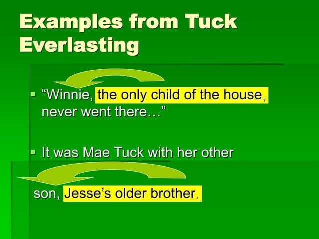 Appositives and Appositive Phrases ppt.ppt