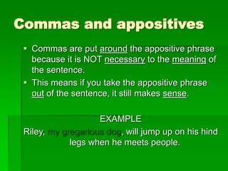Appositives and Appositive Phrases ppt.ppt