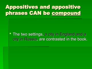Appositives and Appositive Phrases ppt.ppt
