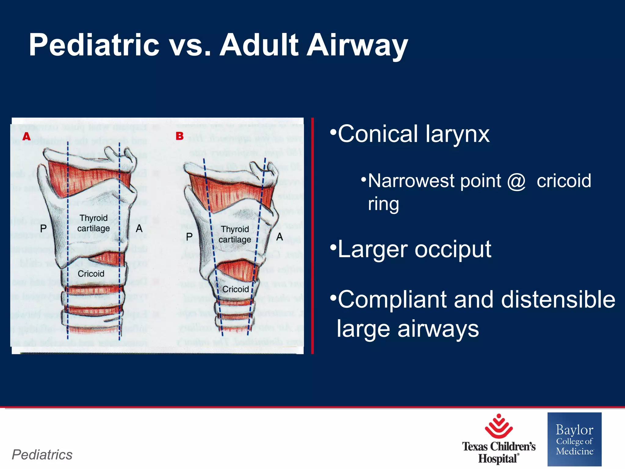 App ped aw course1 | PPT