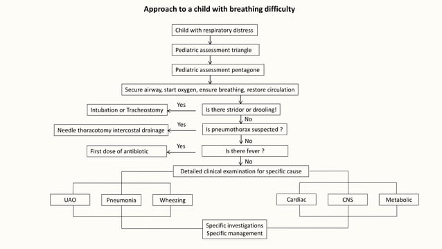 Approach to respiratory distress in children | PPTX