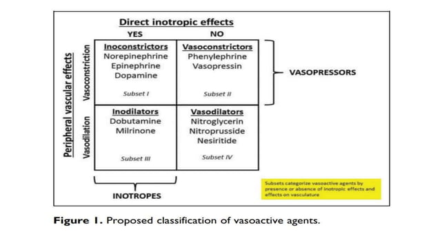 APPRECIATING INOTROPES.pptx | Heart and Cardiovascular Diseases ...