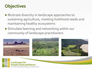 Appreciating Landscape Diversity Overview | PPTX