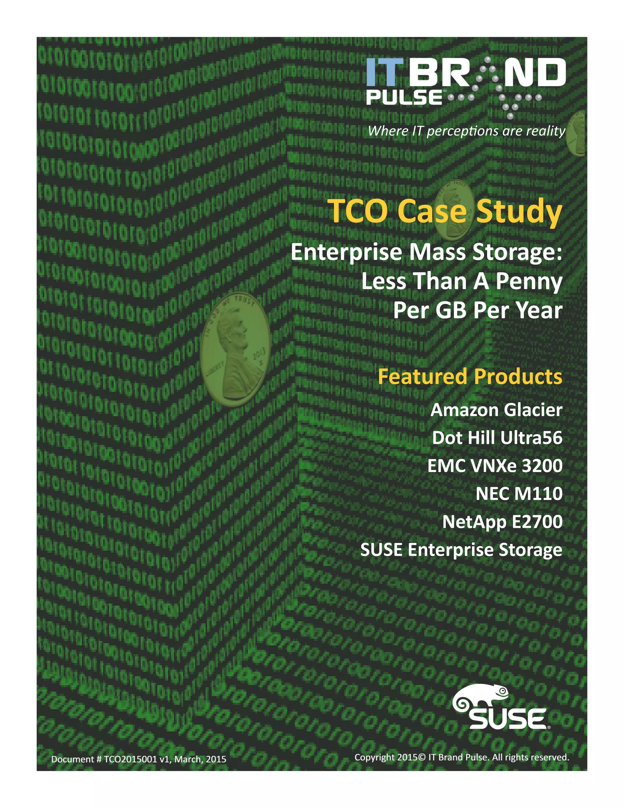 Enterprise Mass Storage TCO Case Study | PDF