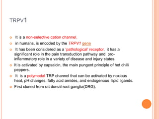 ppt on vanilloid receptors | PPTX