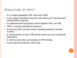 ppt on vanilloid receptors | PPTX